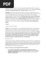 Testi I Arritshmerise | PDF