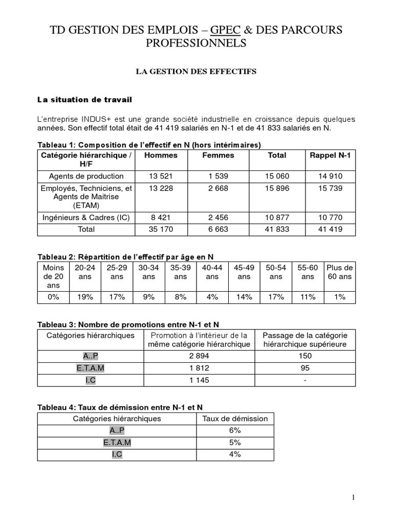 TD GEPP - GPEC Gestion Des Effectifs | PDF | Intérim (travail) | Emploi