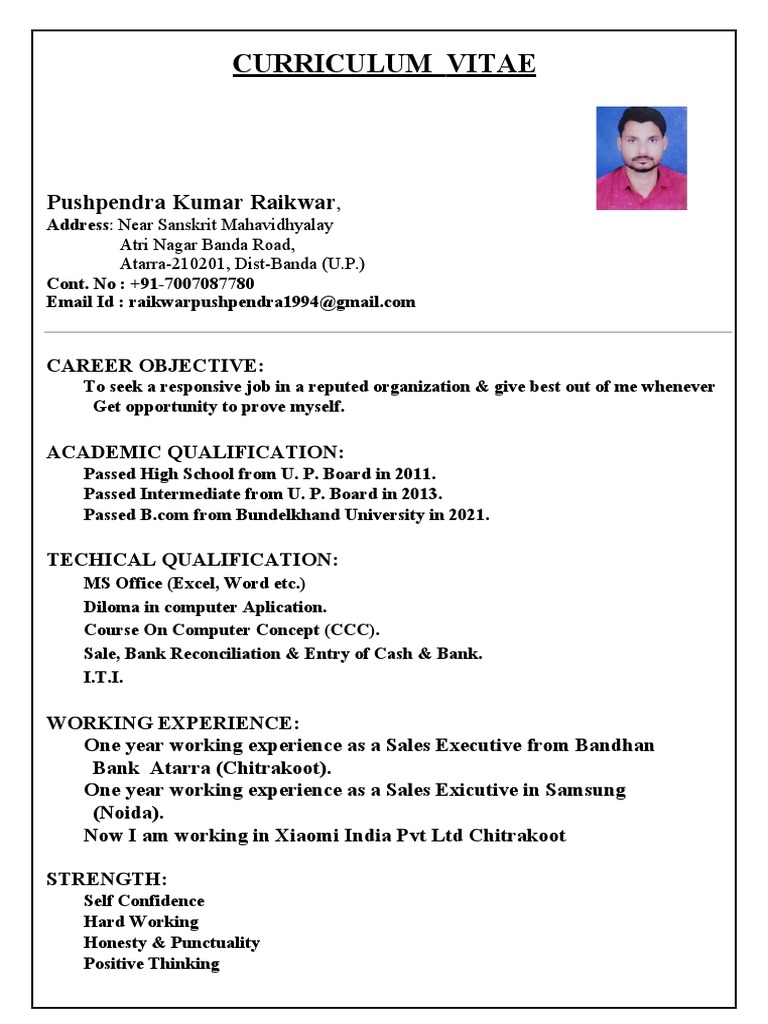 RESUME PUSHPENDRA | PDF