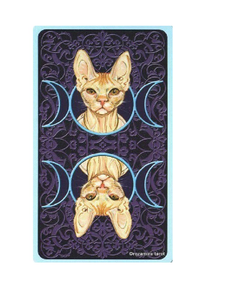Tarot of Pagan Cats | PDF