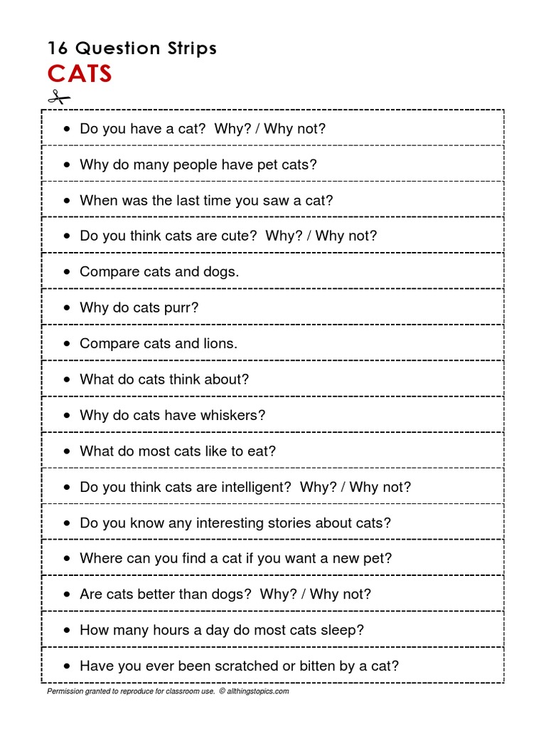 Discussion Cats | PDF | Cats