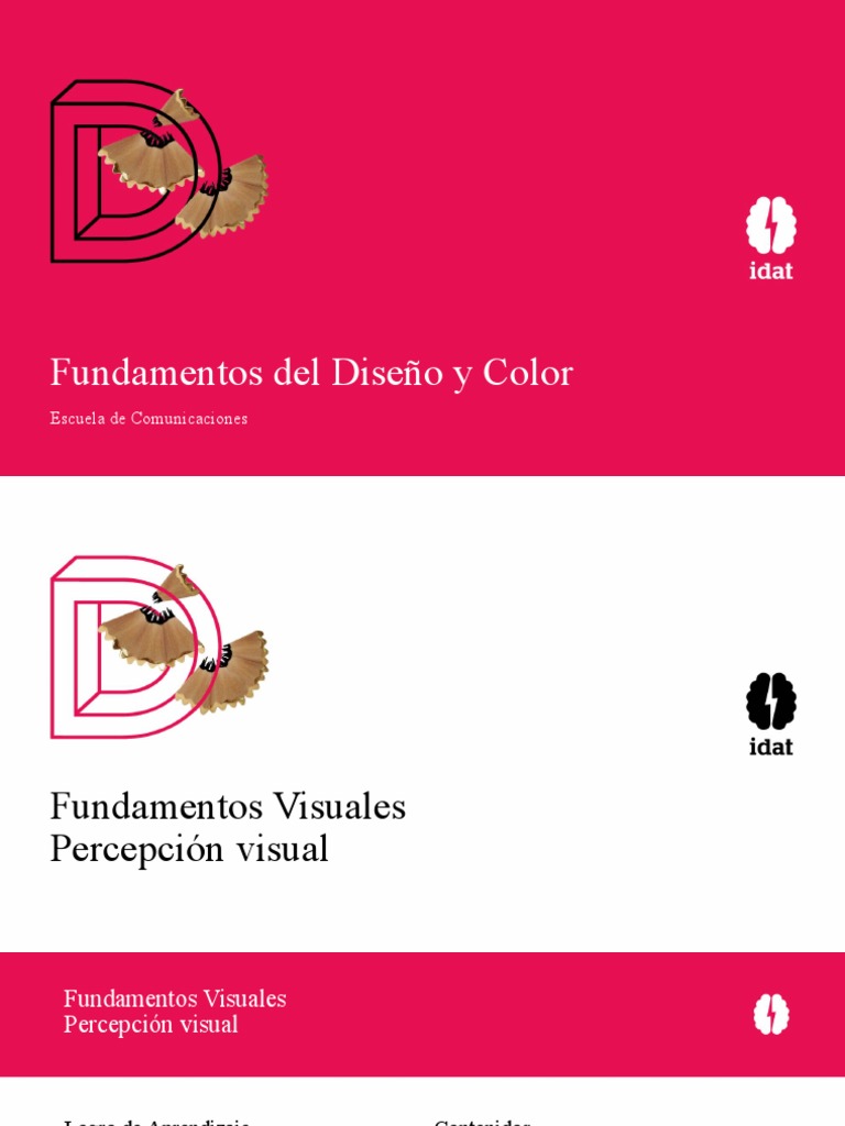 IL1-A Fundamentos Visuales y Percepción Visual | PDF | Ciencia cognitiva | Evaluación ...