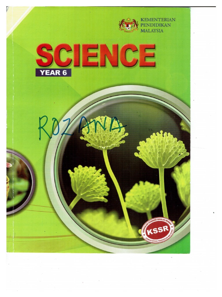 Year 6 Science DLP Textbook | PDF