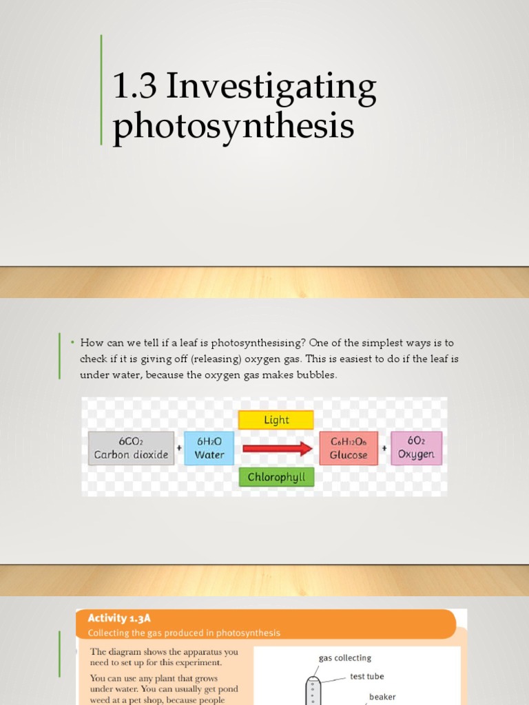 1.3 Investigating Photosynthesis | PDF | Photosynthesis | Chlorophyll