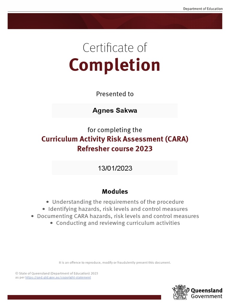 Cara Risk Assessment | PDF