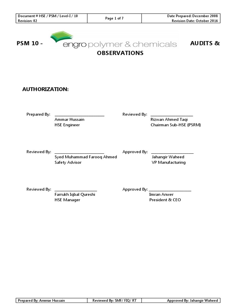 PSM 10 - Audits & Observations - Level 1 Document | PDF