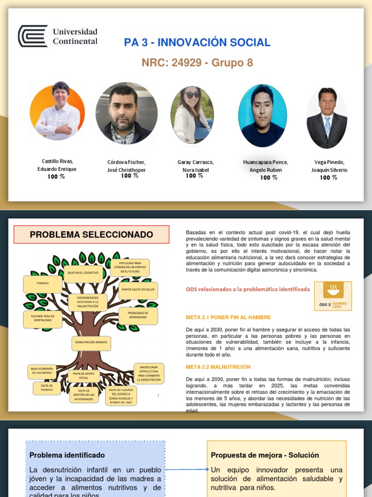 EEXAMEN FINAL - Grupo 8 Innovación Social | PDF