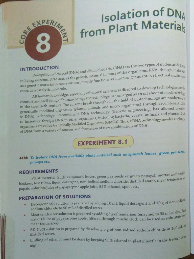 Isolation of DNA | PDF