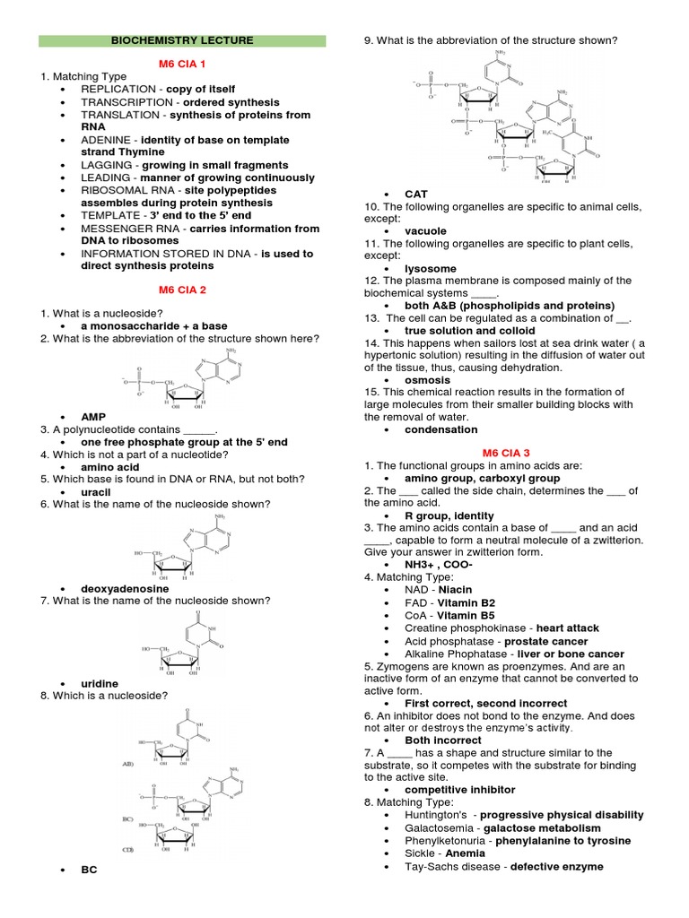 Biochem Lec 2 | PDF | Adenosine Triphosphate | Citric Acid Cycle