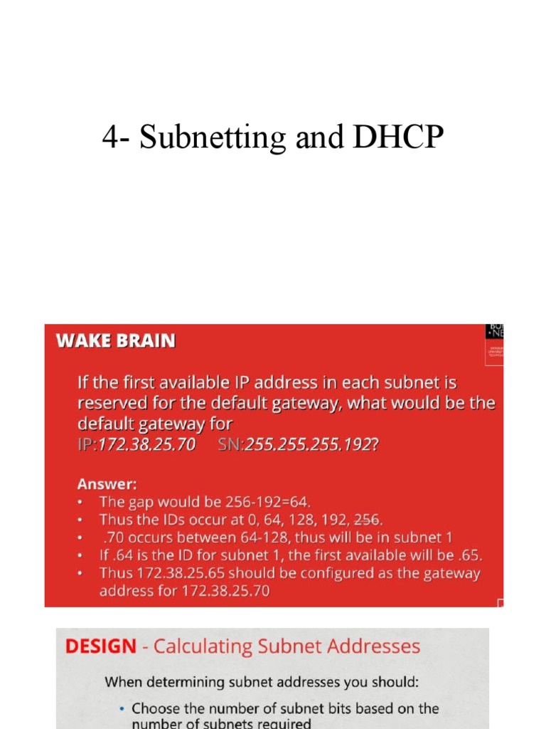 4 - Subnetting and DHCP | PDF
