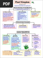 Animal Kingdom Mind Map | PDF | Sponge | Mollusca