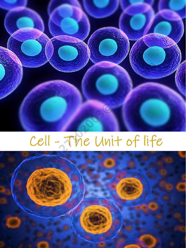 Cell The Unit of Life | PDF | Cell (Biology) | Cell Membrane