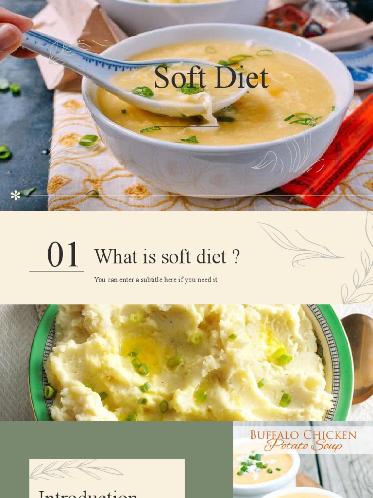 Soft Diet | PDF