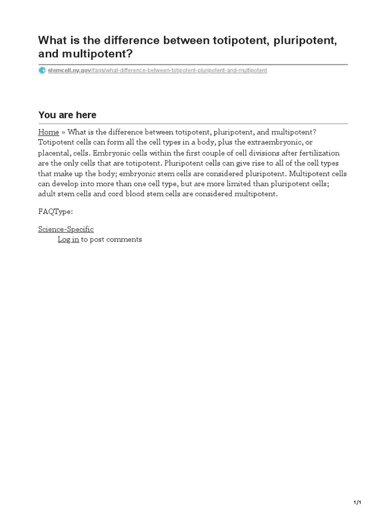 Stemcell - Ny.gov-What Is The Difference Between Totipotent Pluripotent ...