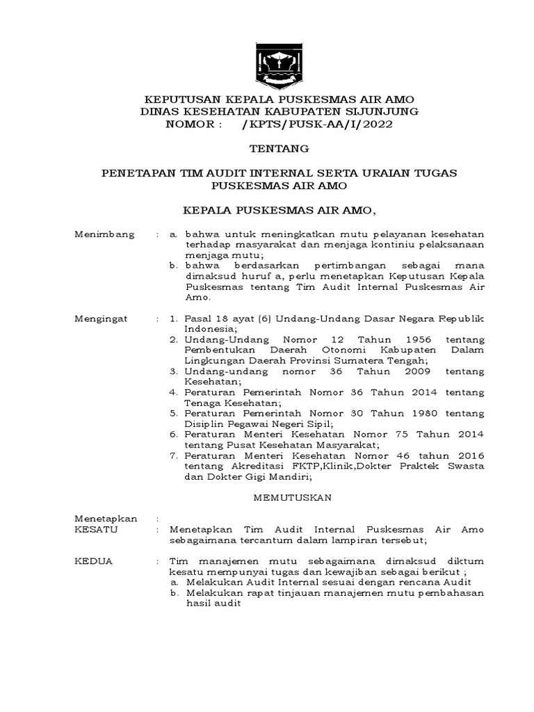 Tim Audit Internal Puskesmas Air Amo | PDF