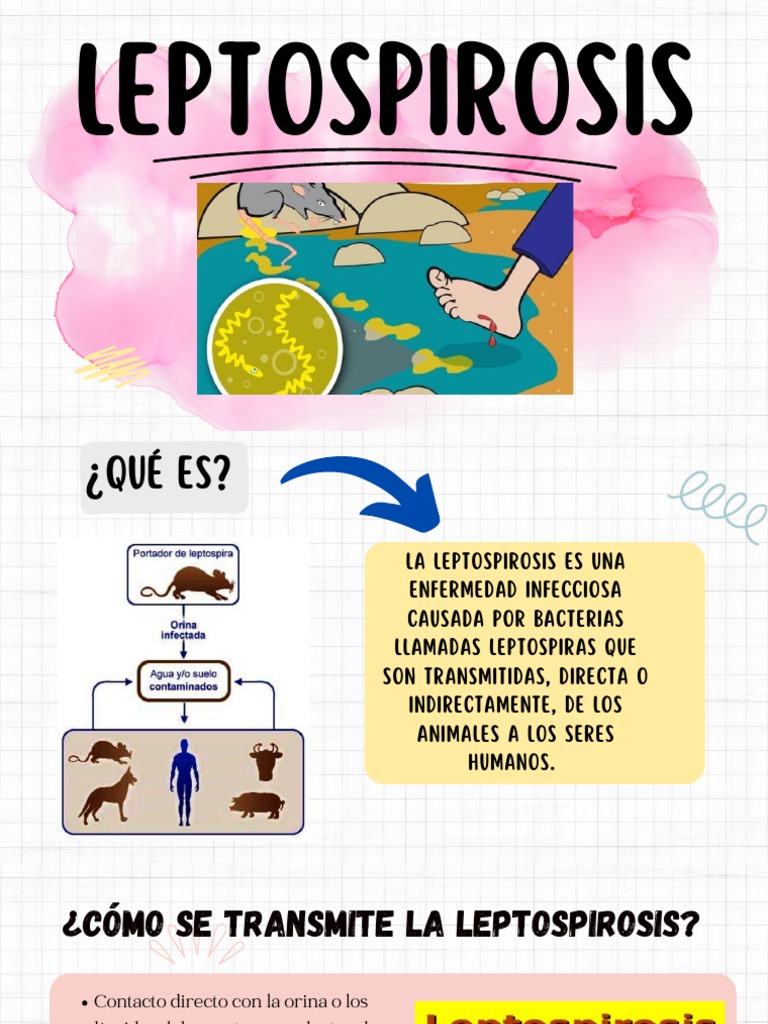 Cadena Epidemiológica de Leptospirosis | PDF