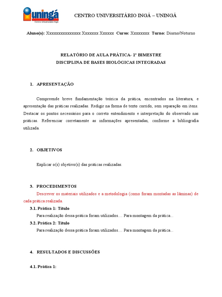 Modelo Relatorio - Bbi | PDF