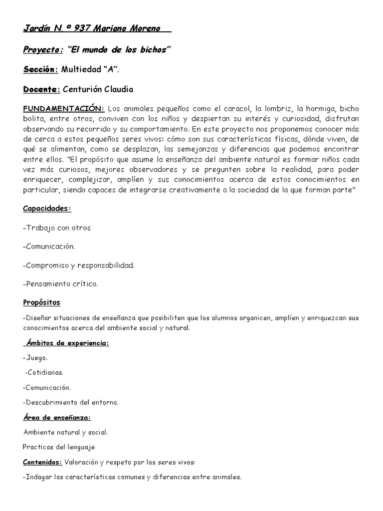 Proyecto Bichos Pdf Insectos Ciencia Cognitiva