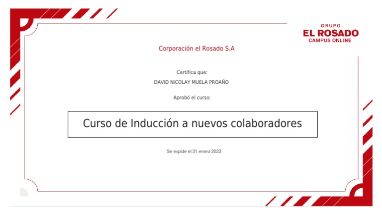 Certificado Curso Inducción Rosado | PDF