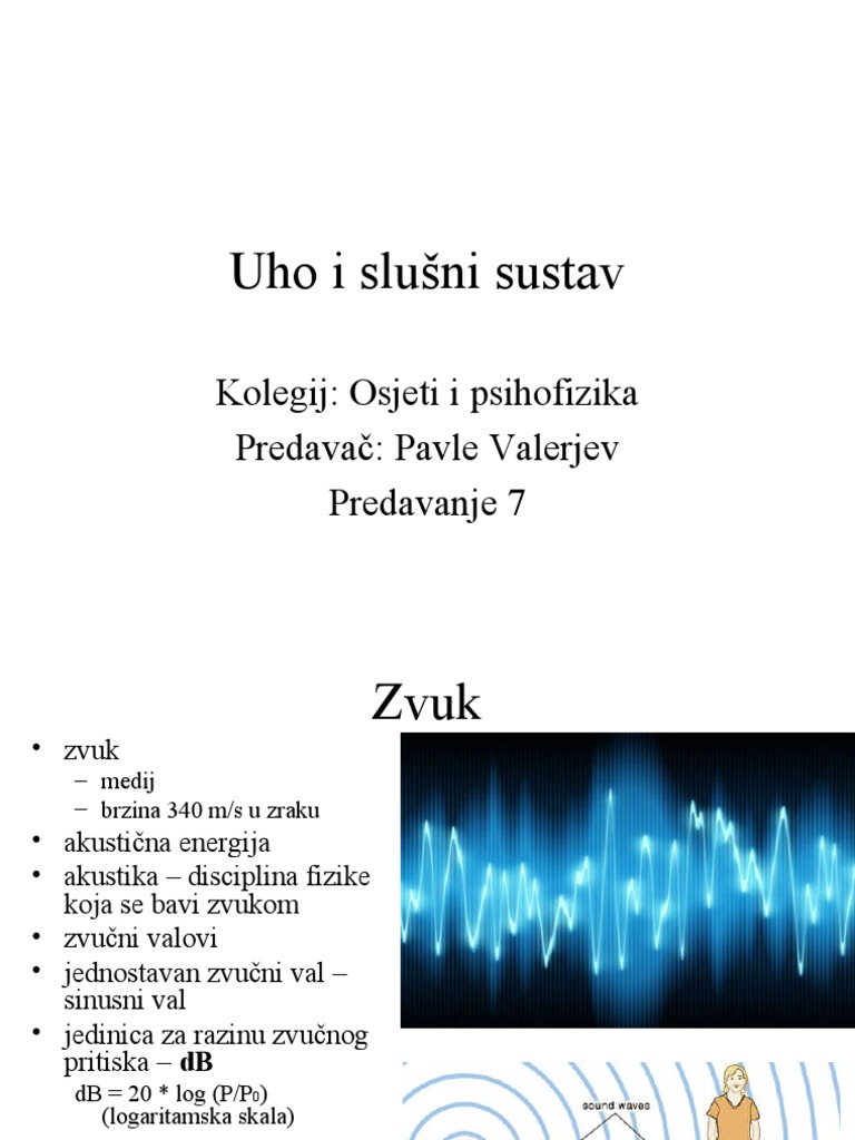 07 - Uho I SluÅ¡Ni Sustav | PDF