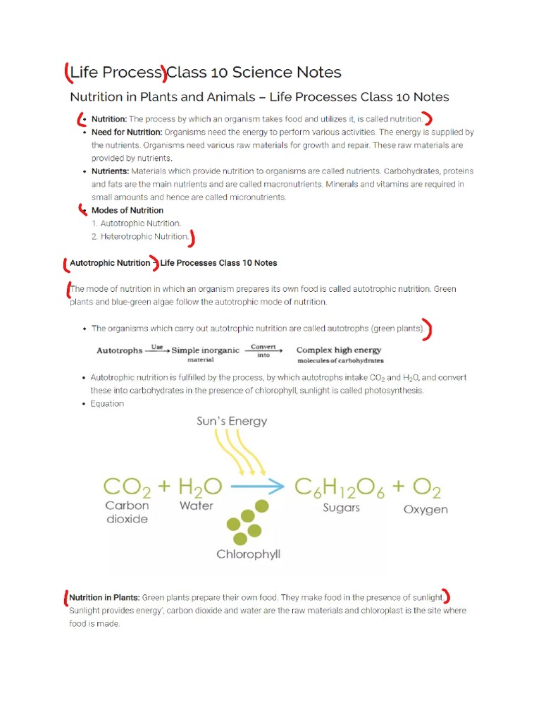 Nutrition Notes Class 10 B Etc | PDF