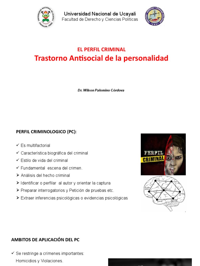 El Perfil Criminal | PDF