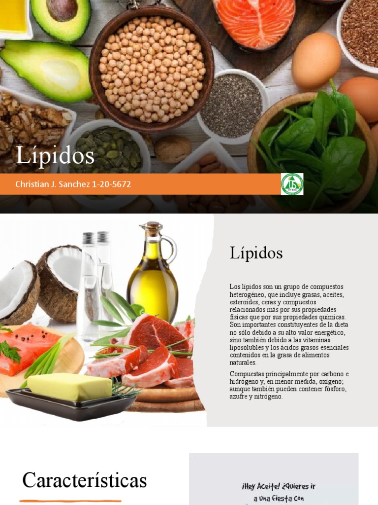 Lipidos | PDF | Lípido | Triglicéridos