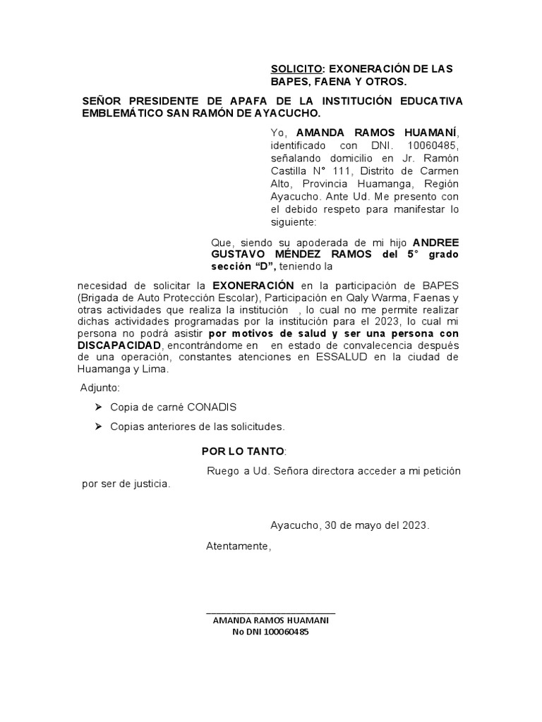 SOLICITO Brigada | PDF