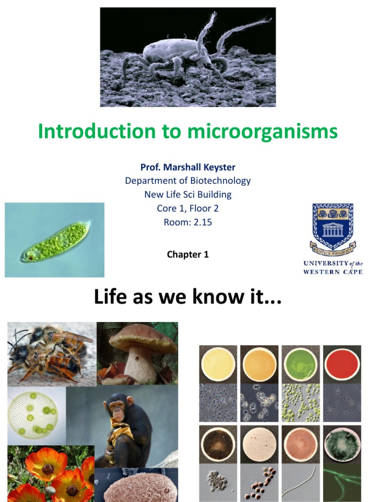 CH 1 The History and Scope | PDF | Microorganism | Microbiology