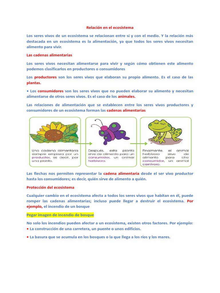 Relación en El Ecosistema (1) | PDF