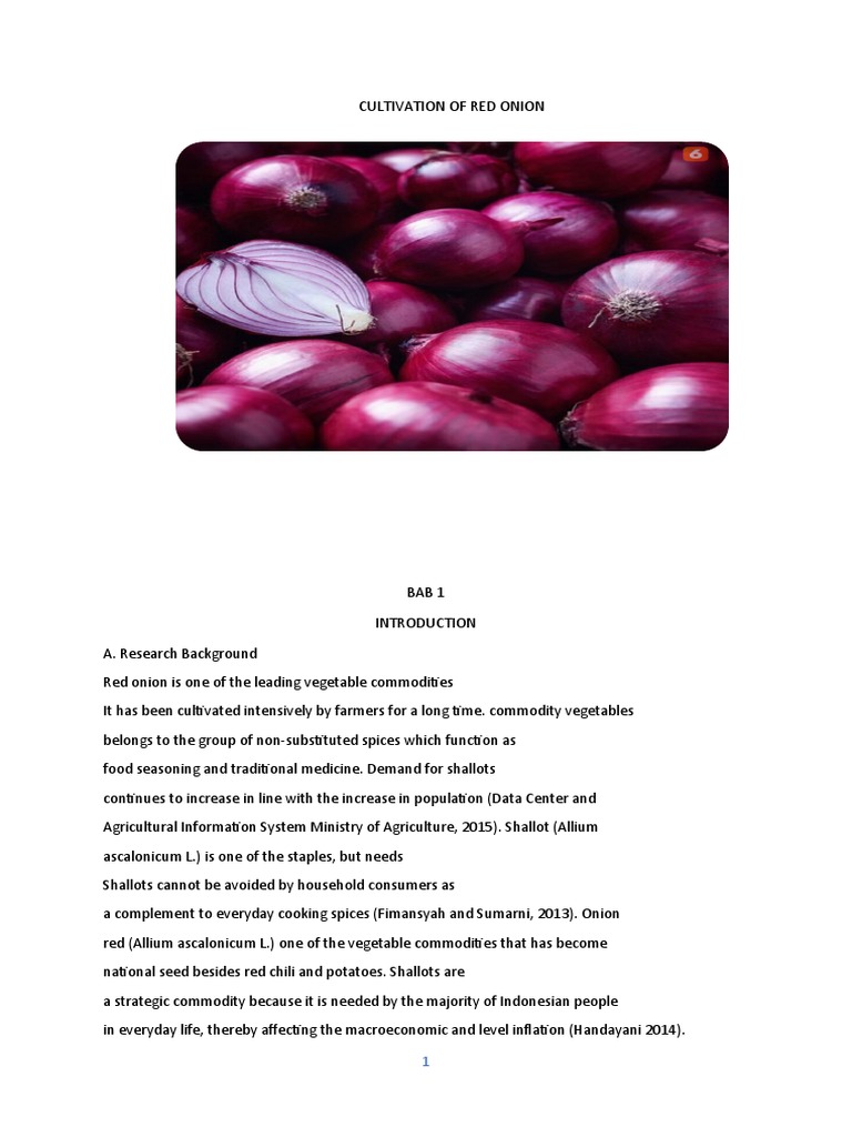 Red Onion Cultivation Guide | PDF | Soil | Onion