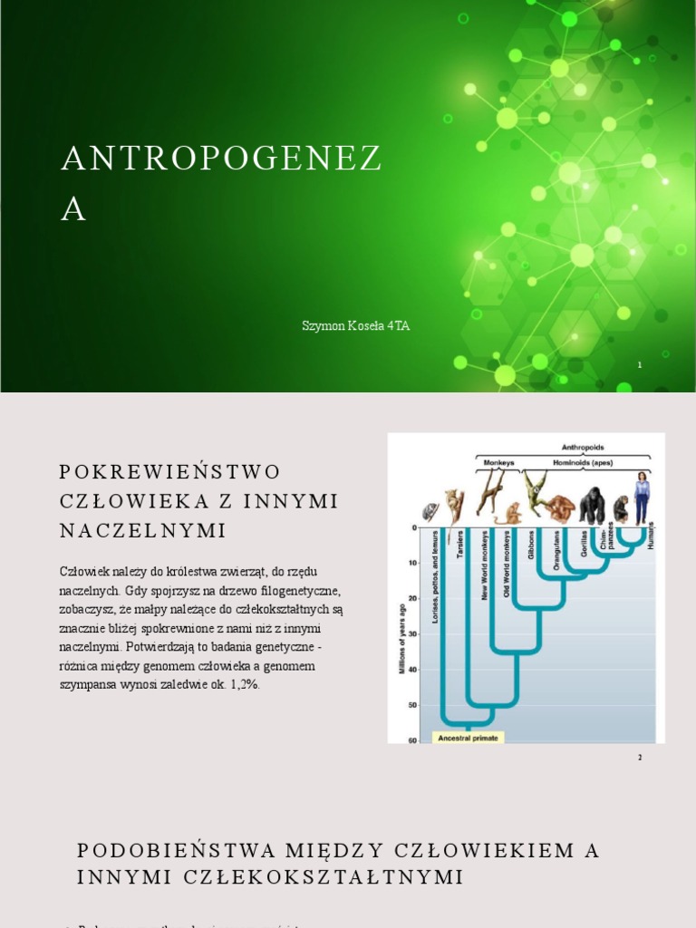 Antropogeneza - Szymon Koseła 4TA | PDF