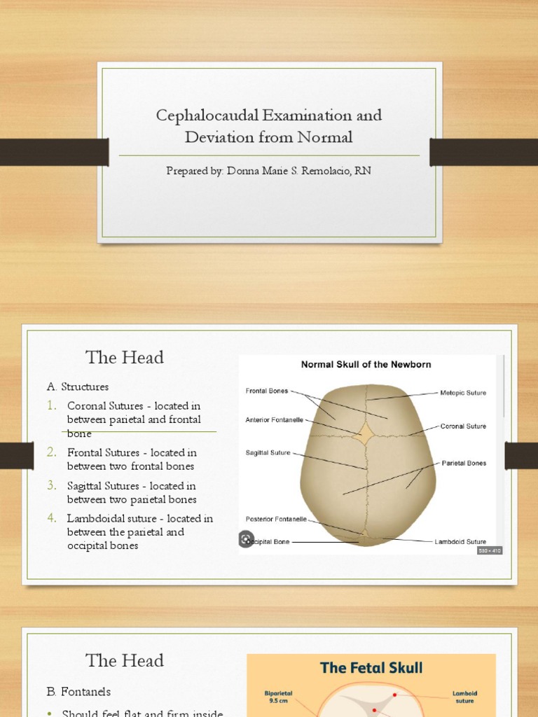 Cephalocaudal Examination and Deviation From Normal Head Senses | PDF