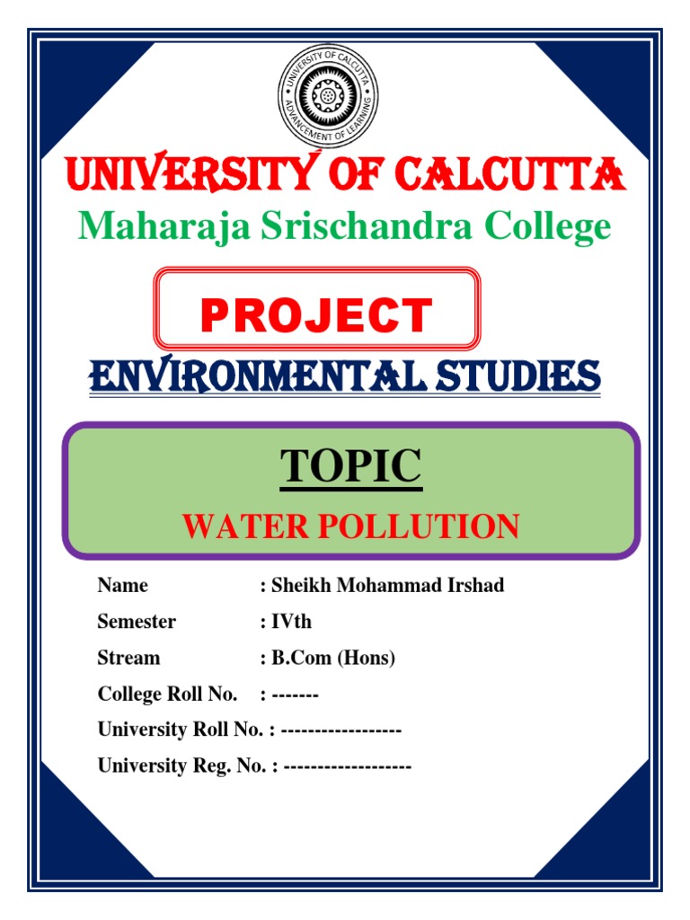 Water Pollution Project | PDF