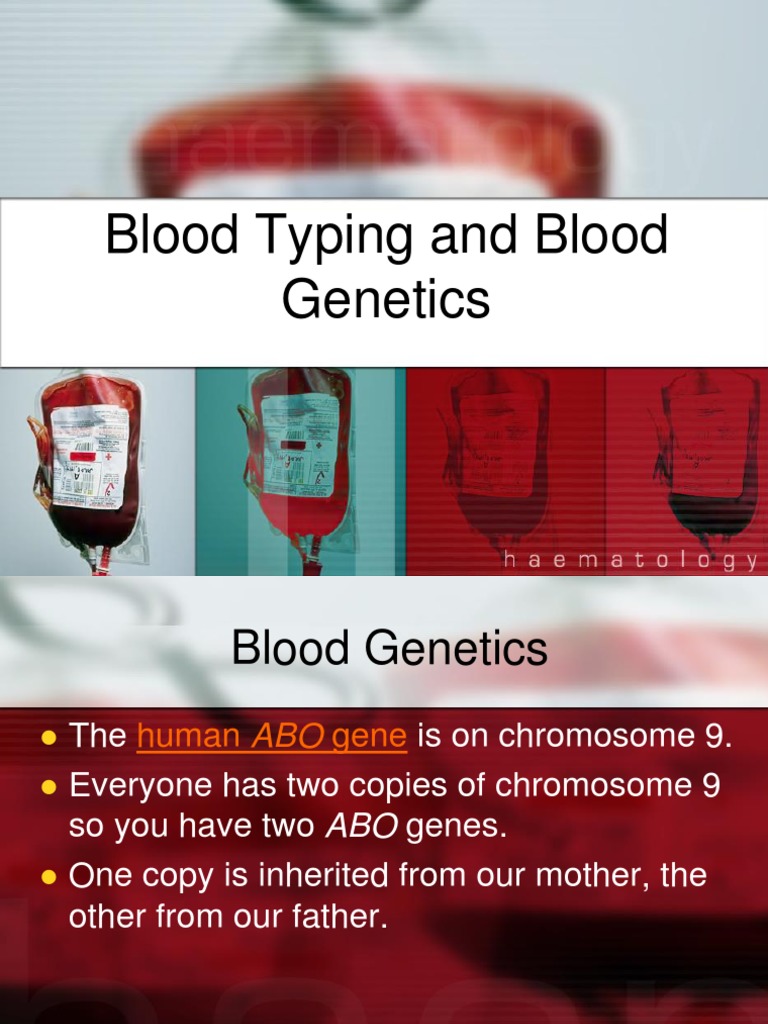 Blood Typing and Genetics | PDF