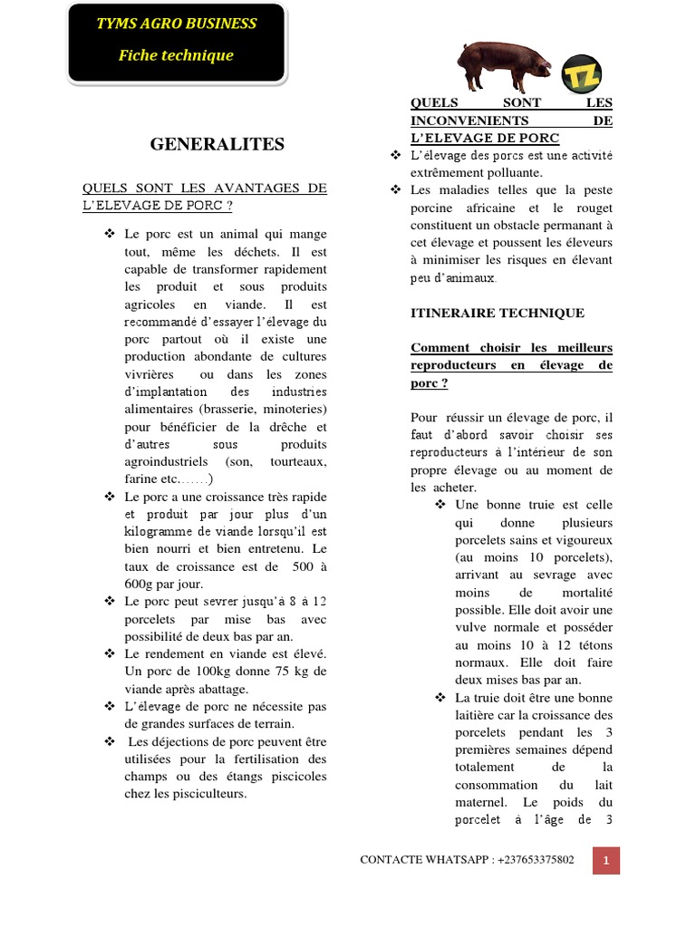 TYMS AGRO BUSINESS Fiche Technique Elevage de Porc | PDF | Cochon
