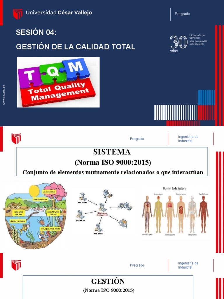 S-04 TQM GESTION DE LA CALIDAD TOTAL - Tagged | PDF | Calidad (comercial) | Gestión de la calidad