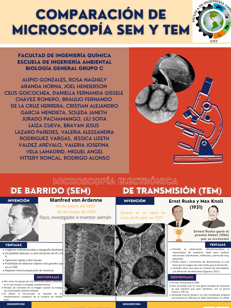 Comparación Entre Microscopía Sem y Tem - Infografía - Grupo C | PDF ...