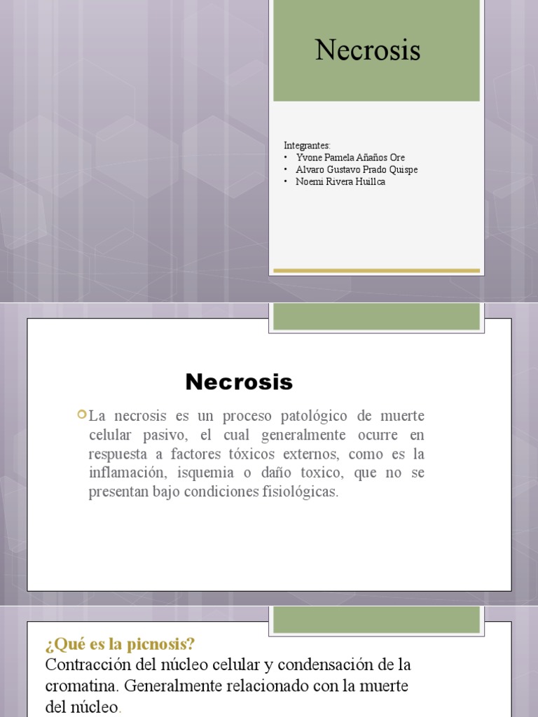 Qué Es La Necrosis 99 | PDF