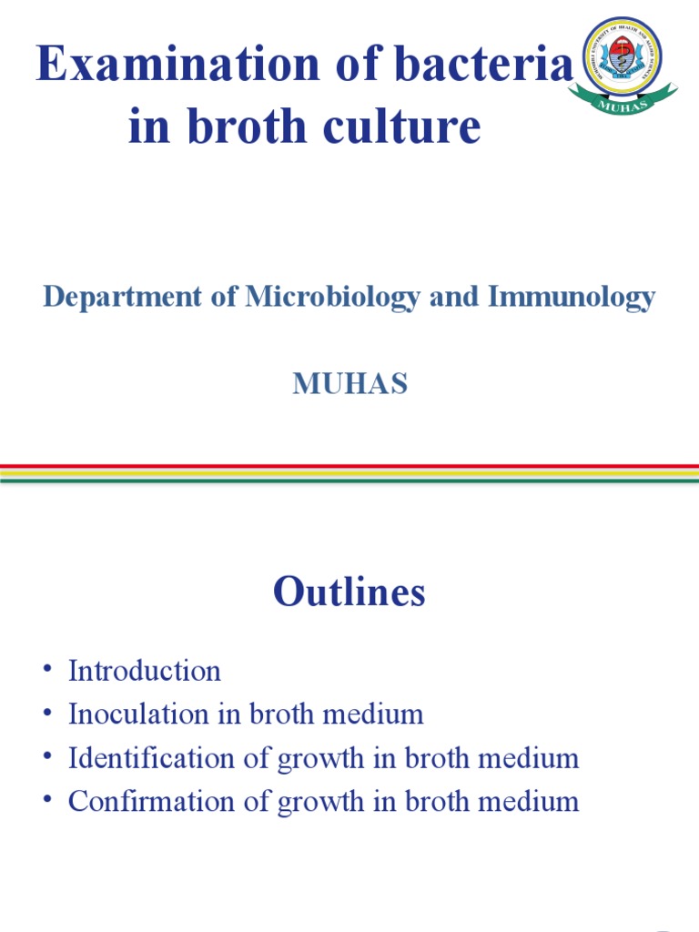 Examination of Bacteria in A Broth Culture | PDF