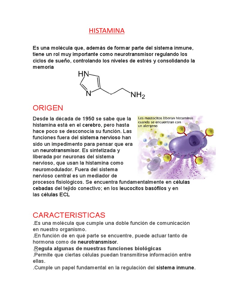 HISTAMINA | PDF | Anatomía | Especialidades Medicas