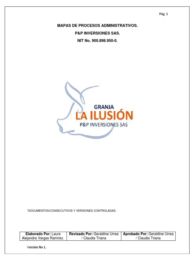 Mapas de Procesos Administrativos P&P | PDF | Gestión estratégica | Bancos