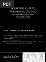 Músculos Del Torso | PDF | Sistema musculoesquelético | Anatomía humana