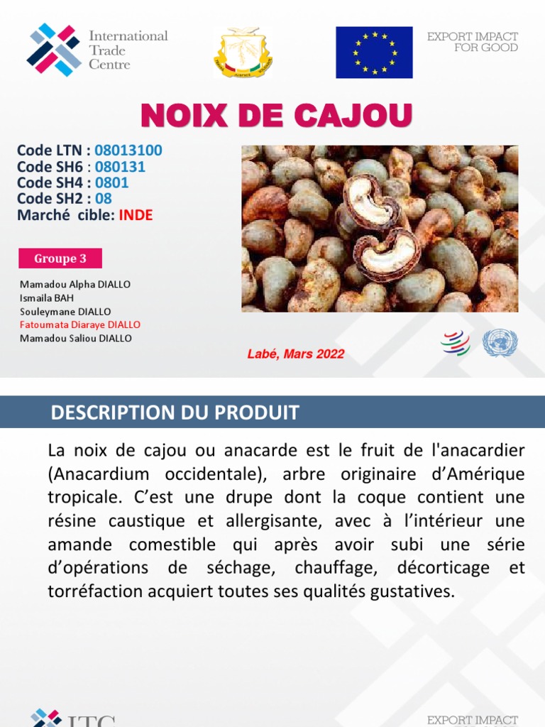 Labé - Noix de Cajou | PDF