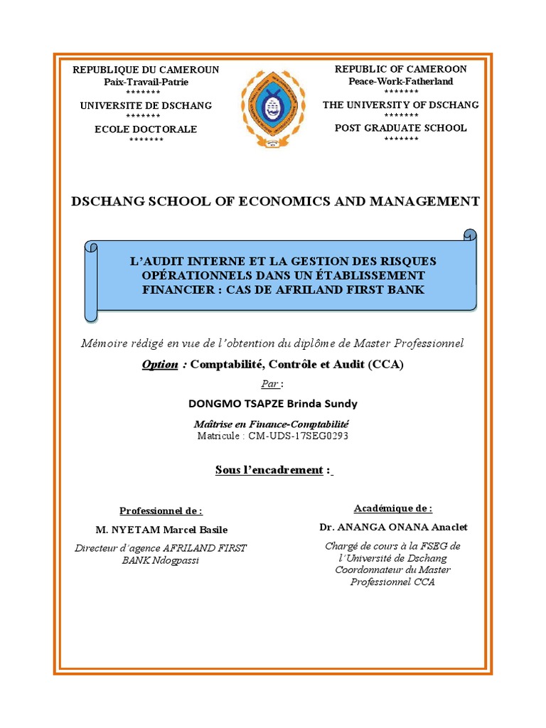 Projet de Mémoire Final | PDF