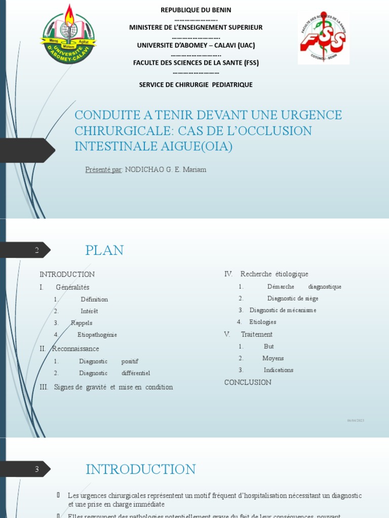 Conduite A Tenir Devant Une Occlusion Intestinale Aigue (Oia ... Conduite A Tenir Devant Une Occlusion Intestinale Aigue (Oia ...