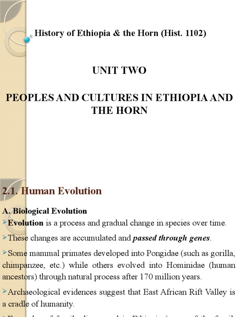 Human Evolution in Ethiopia | PDF | Homo | Stone Age