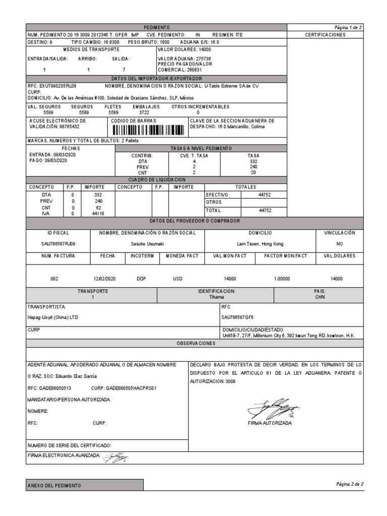PEDIMENTO Lleno | PDF