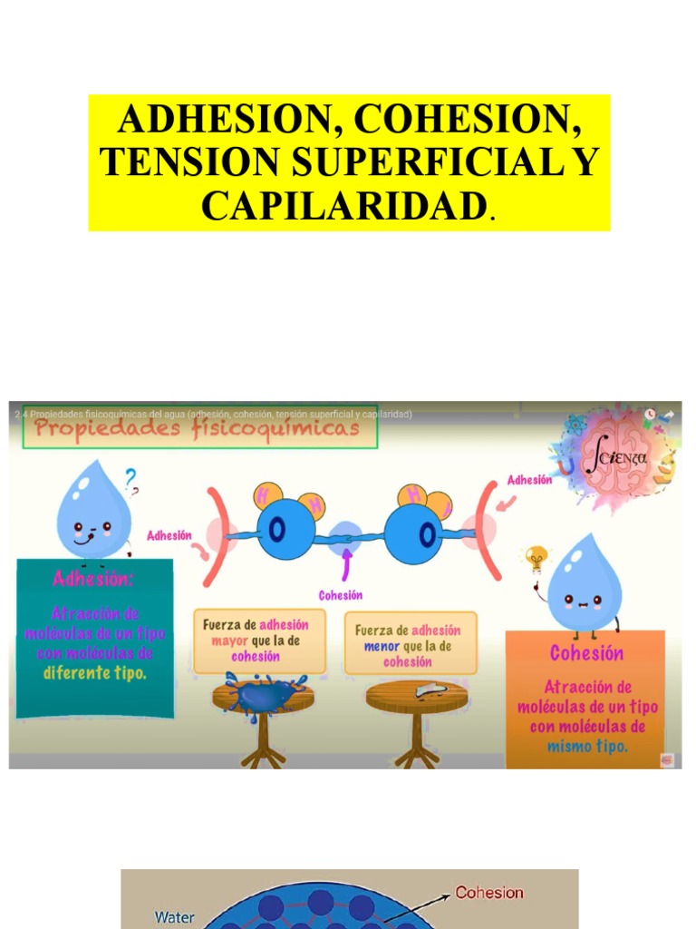 Adhesion, Cohesion, Tension Superficial y Capilaridad | PDF
