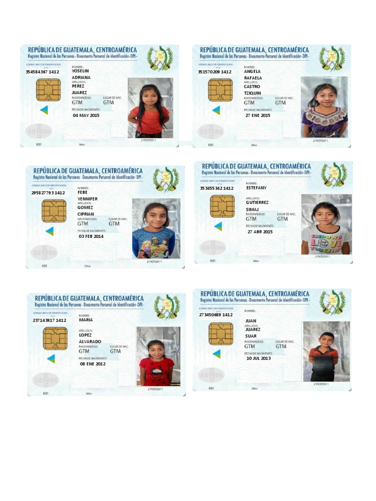 Formato DPI Escuela en Blanco | PDF